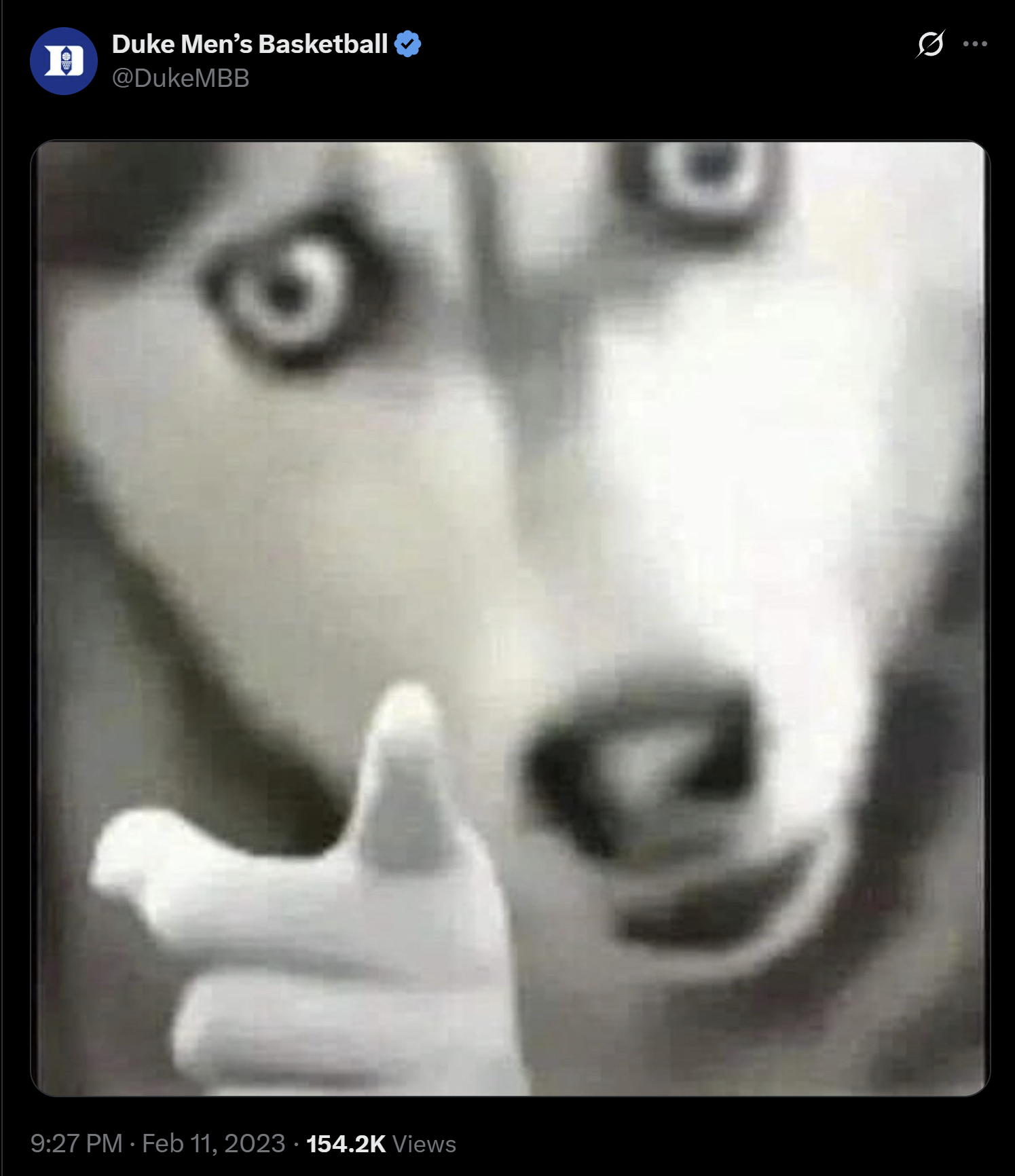 Husky Pointing ($U)